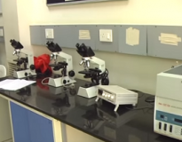 KIT College of Engineering, Kolhapur: Courses, Fees, Placements ...