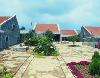 Nayanta University Admission 2025: Fees, Eligibility, Application & Selection