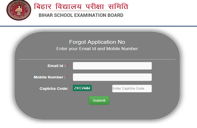 Bihar STET Admit Card 2024: Dummy Admit Card Download Link