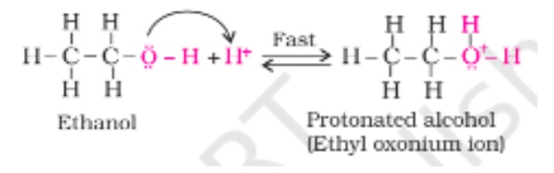 Dehydration of Alcohols: Overview, Questions, Easy Tricks, Rules ...