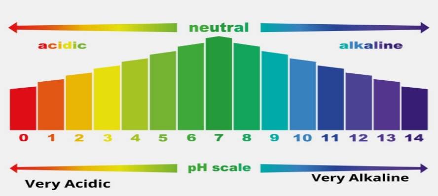 Acid Strength: Overview, Questions, Easy Tricks, Rules, Preparation