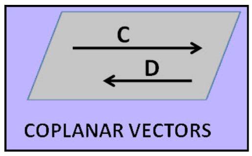 Types of Vectors: Overview, Questions, Easy Tricks, Rules, Preparation