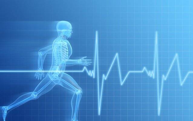 Human Physiology NEET Questions PDF Download Human Physiology NEET Questions PDF Download