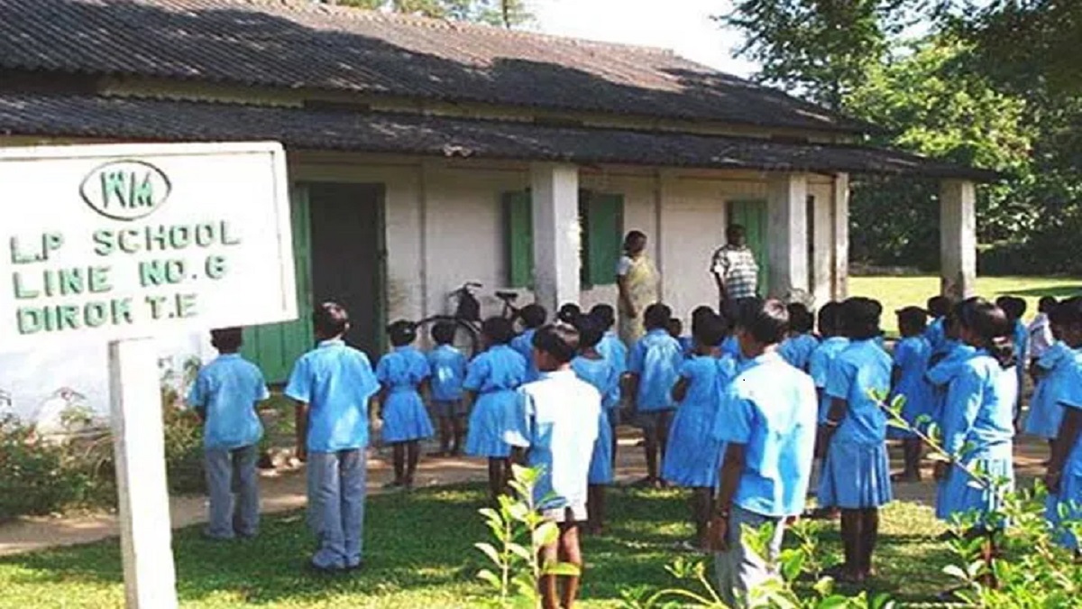 Assam to create over 800 new teacher posts for tea garden schools