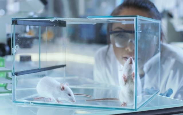 List of Courses after BSc Zoology Abroad