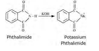 NCERT Solutions Class 12 Chemistry Chapter 9 Amines: Download Questions with Solutions PDF