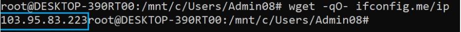 How to get IP Address in Linux?