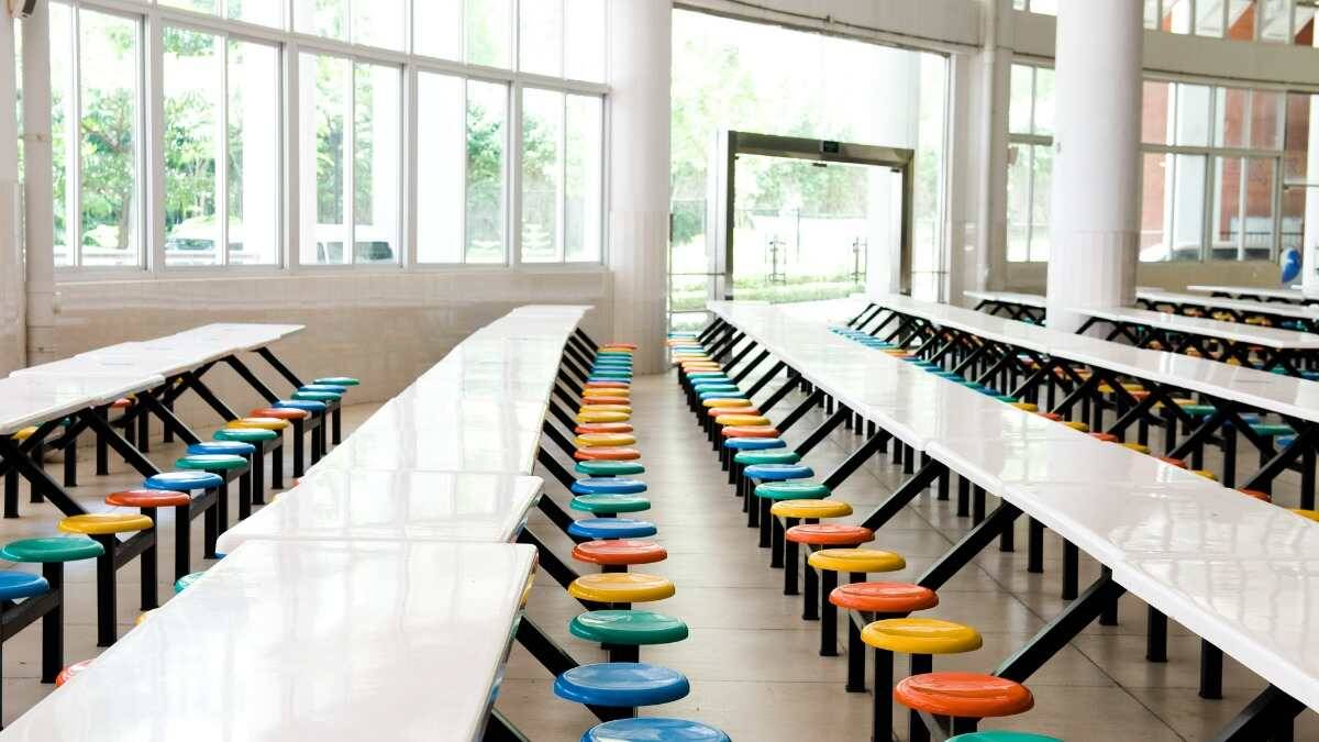 Top 5 Largest Universities in the World