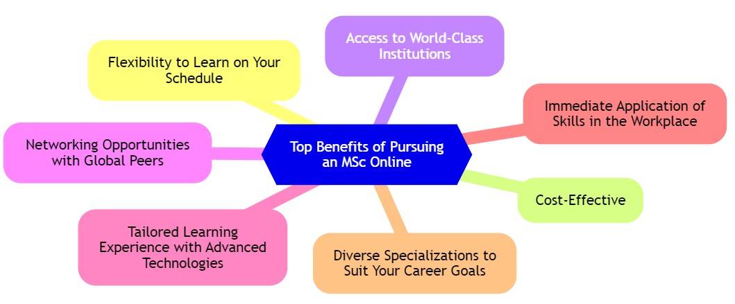Top Benefits of Pursuing an MSc Online