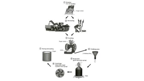 Ielts Academic Writing Task 1 Process Diagram Ielts