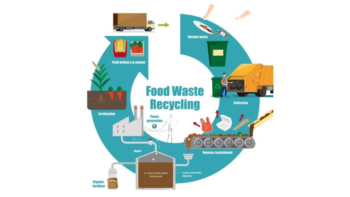 IELTS Process Chart Task 1: Tips, Questions & Sample Answers