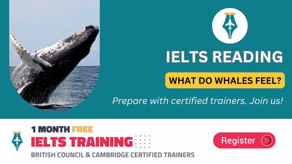 What Do Whales Feel IELTS Reading Answers