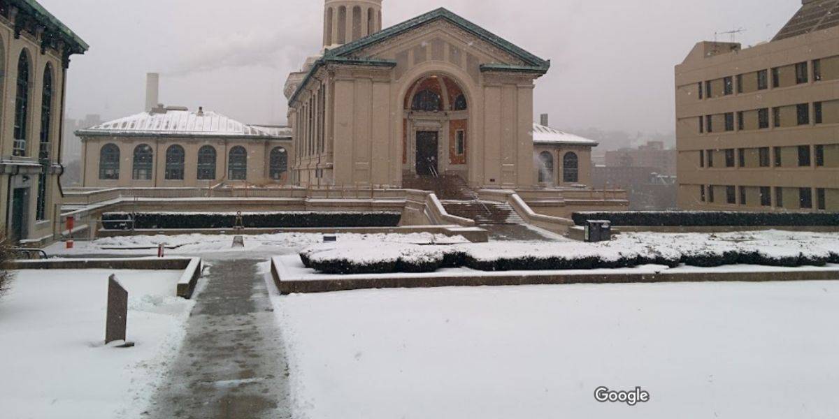 Top 10 Most Unusual Degrees in the World