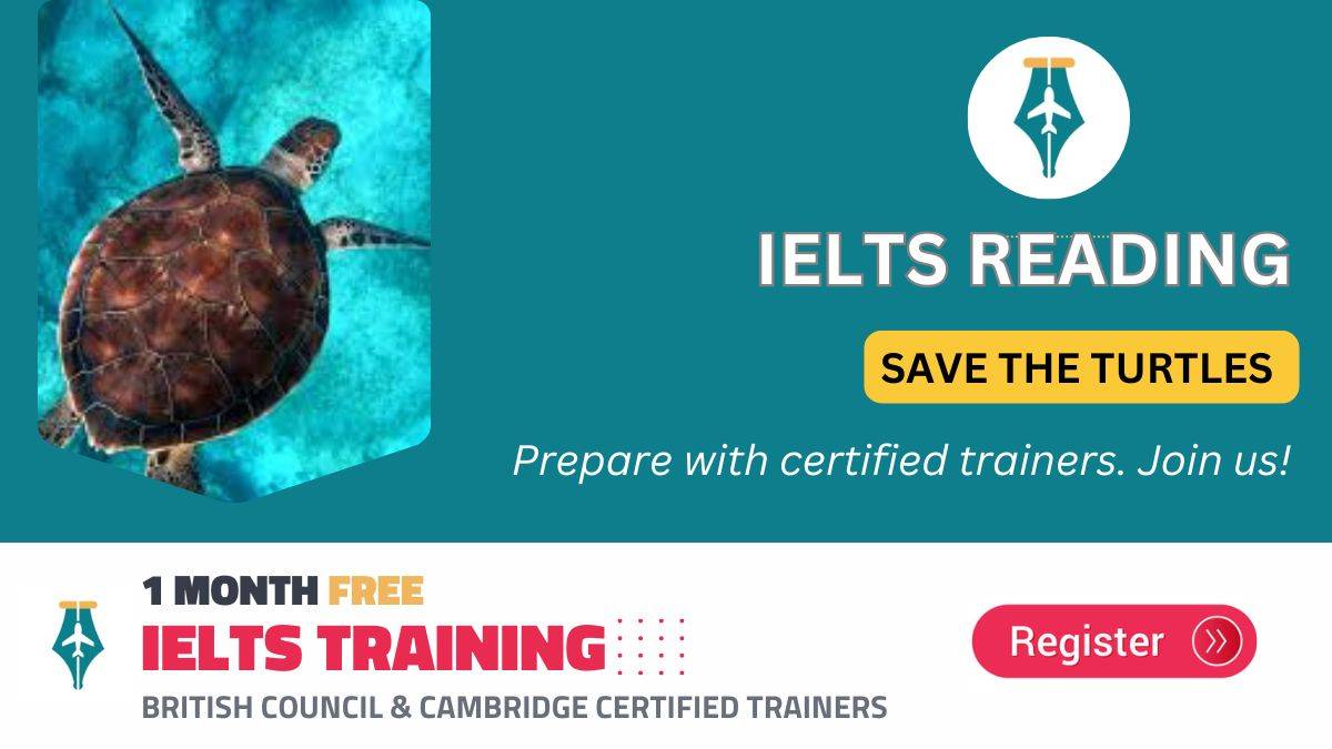Save the Turtles Reading Answers - IELTS Reading Practice Test