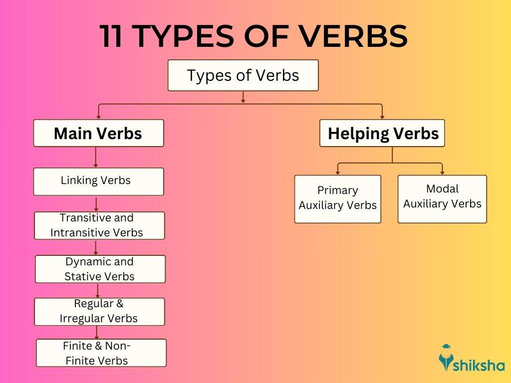 What is Verb? Definition, Meaning, Types, Rules & Examples in English Grammar