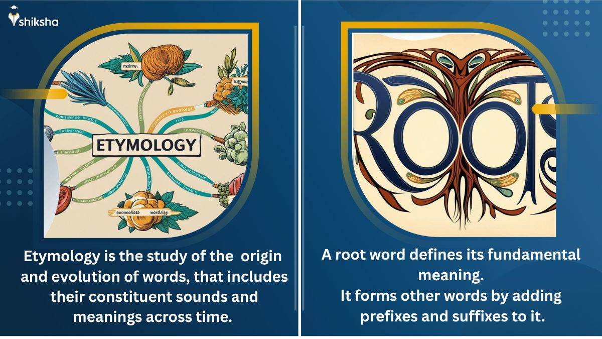 Etymology and Roots: Meaning, Examples, Definition, Prep tips and more