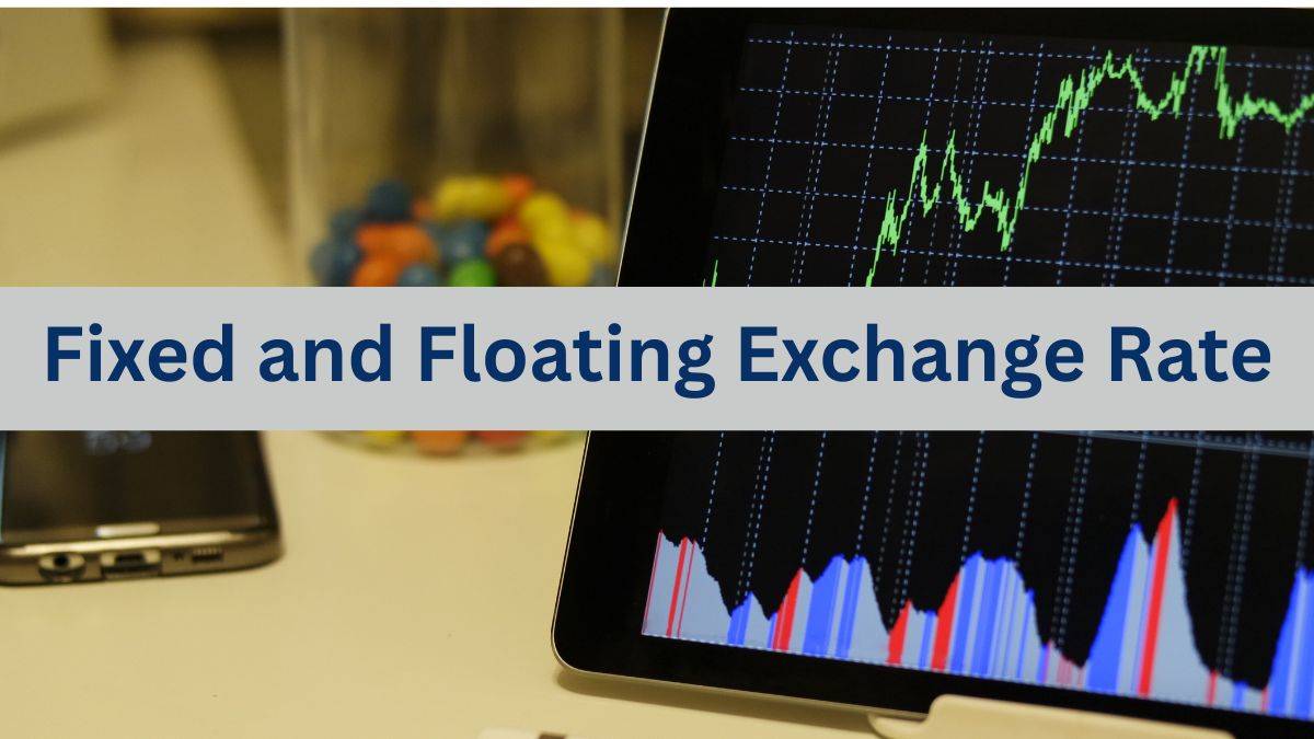 Fixed Exchange Rate and Floating Exchange Rate: Key Differences and Examples