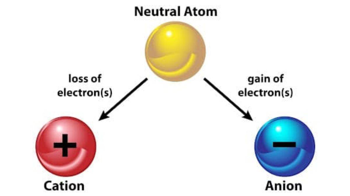 Difference between Anions and Cations: Definition, Examples & Notes