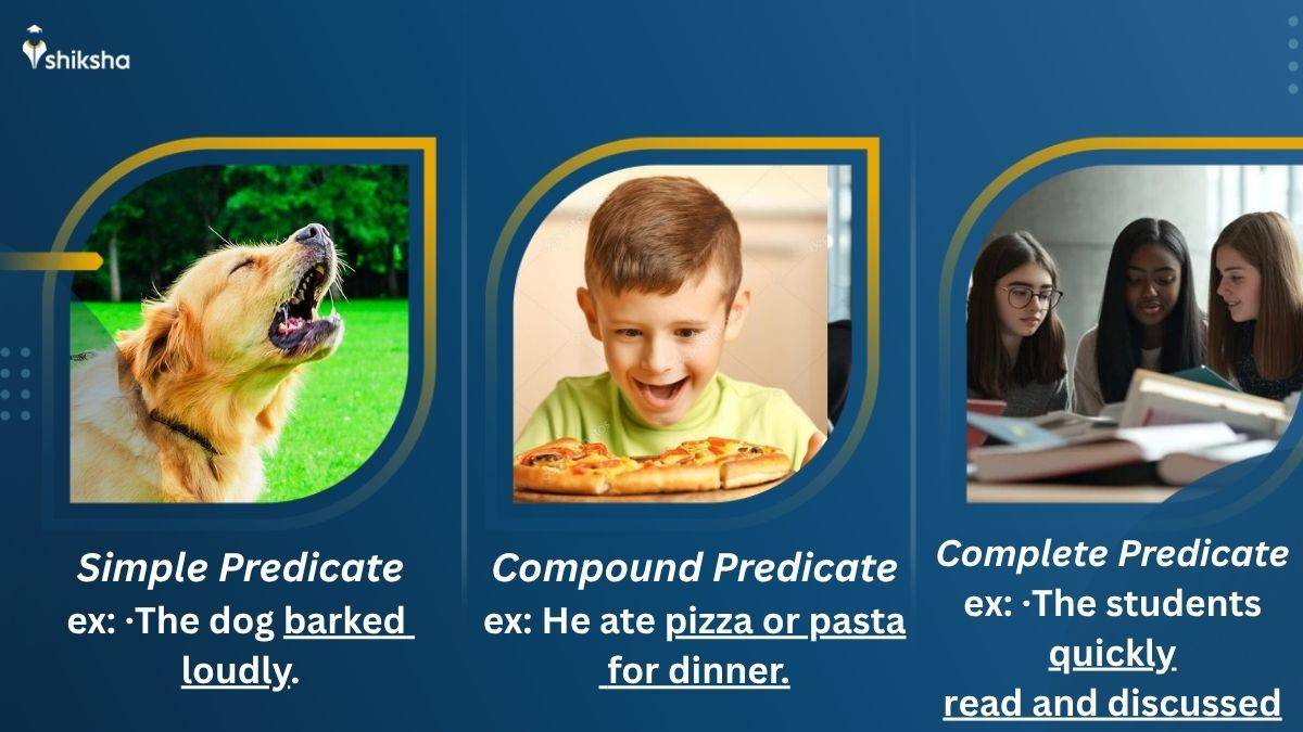 Predicate in English: Meaning, Types, Examples, Practice Questions with ...