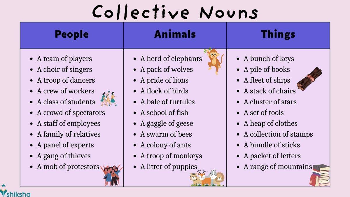 What is a Collective Noun? Meaning, List, Books, and Exercises with Answers