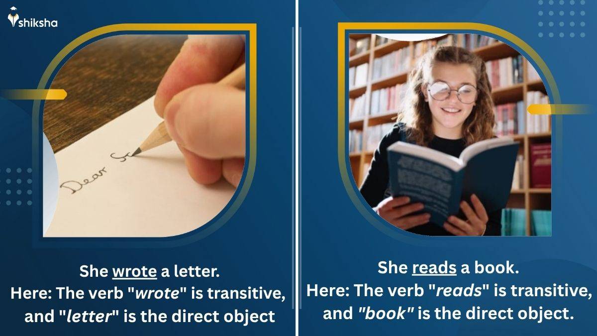 Transitive Verb in English: Definition with Examples, Special Cases ...