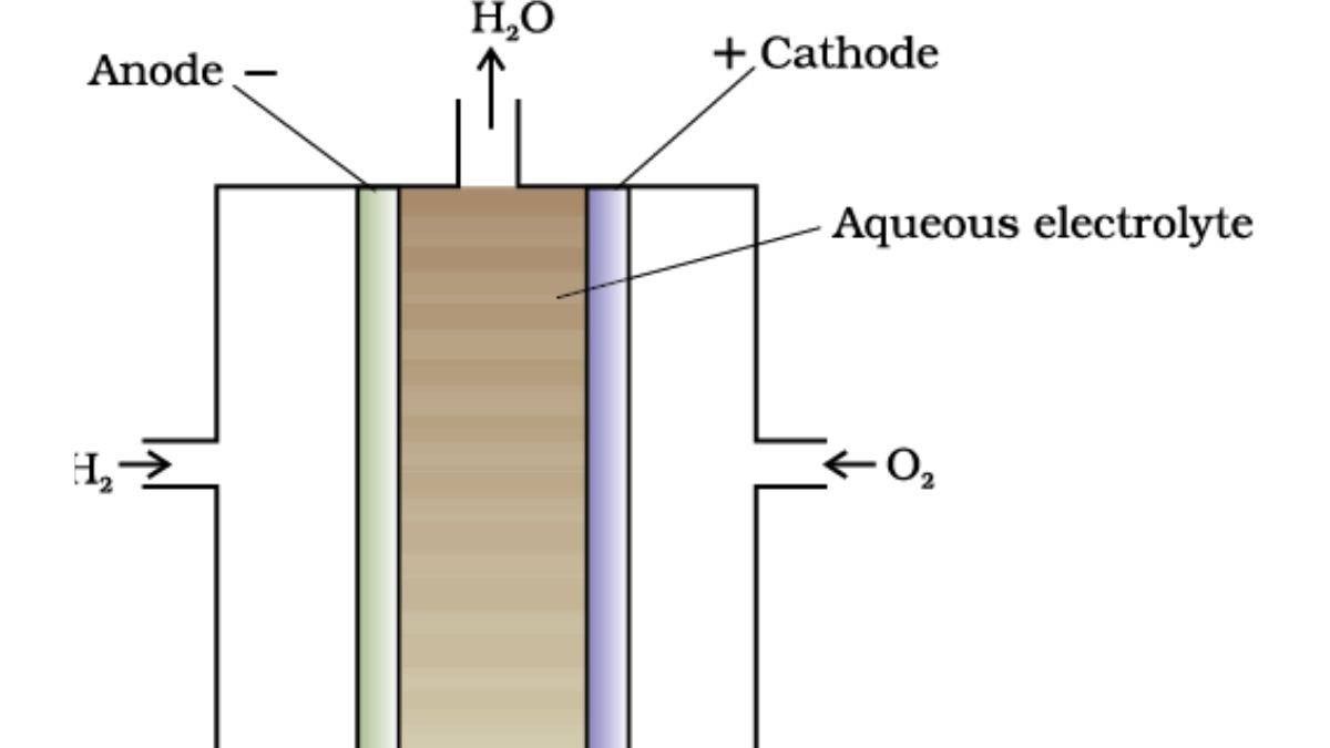 What is Fuel Cell? Definition, Working Principle, Application, Uses ...