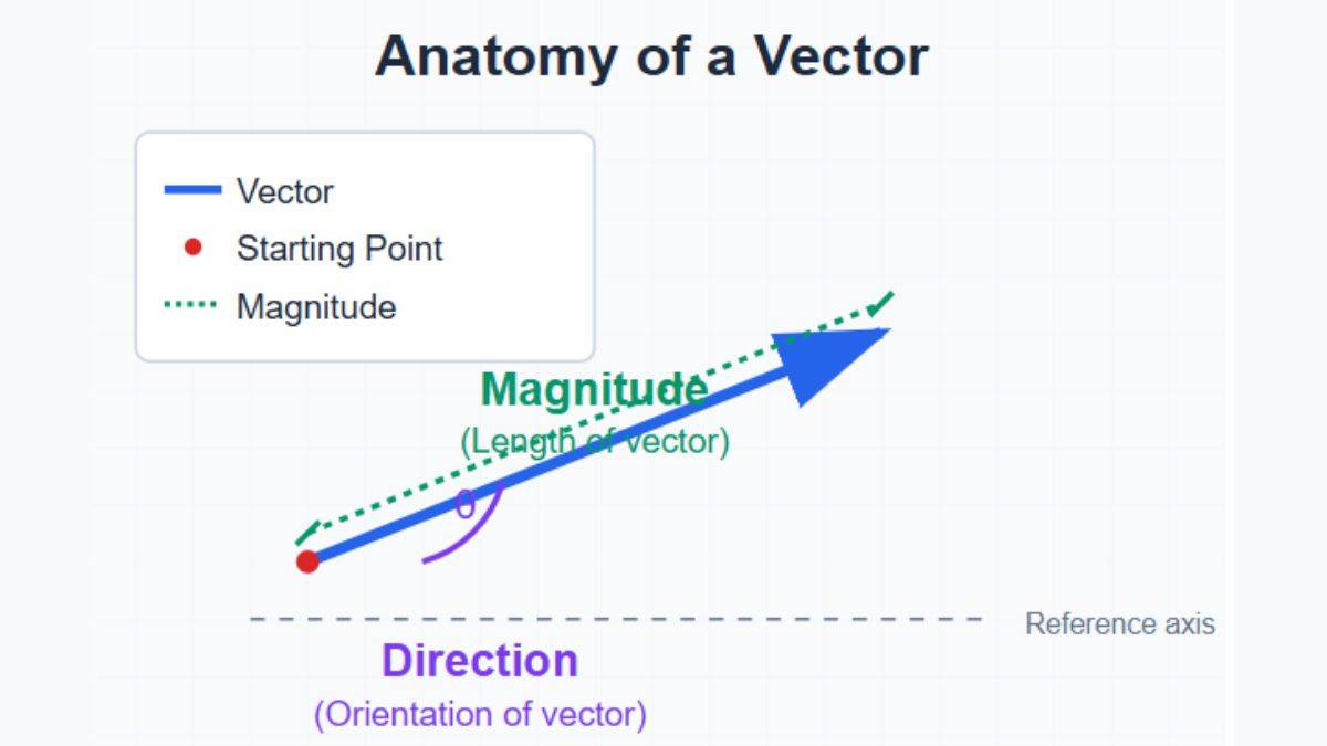 Scalar and Vector Quantities: Meaning, Examples, and Differences
