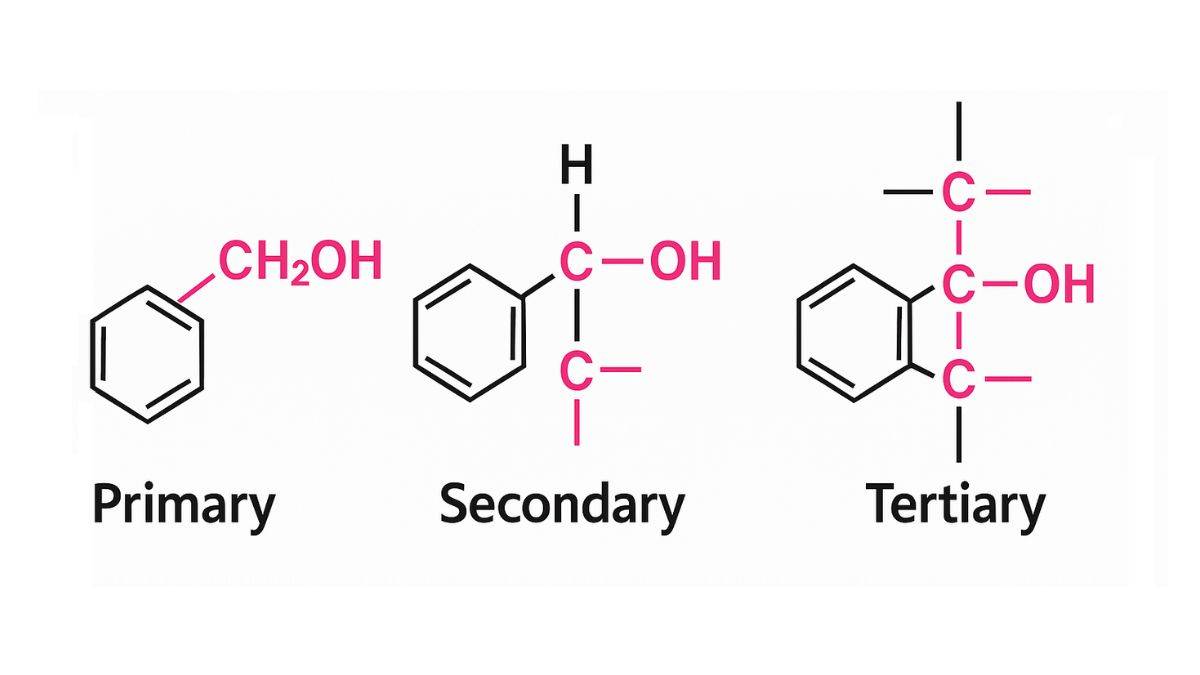 What is The Difference between Phenol and Alcohol?
