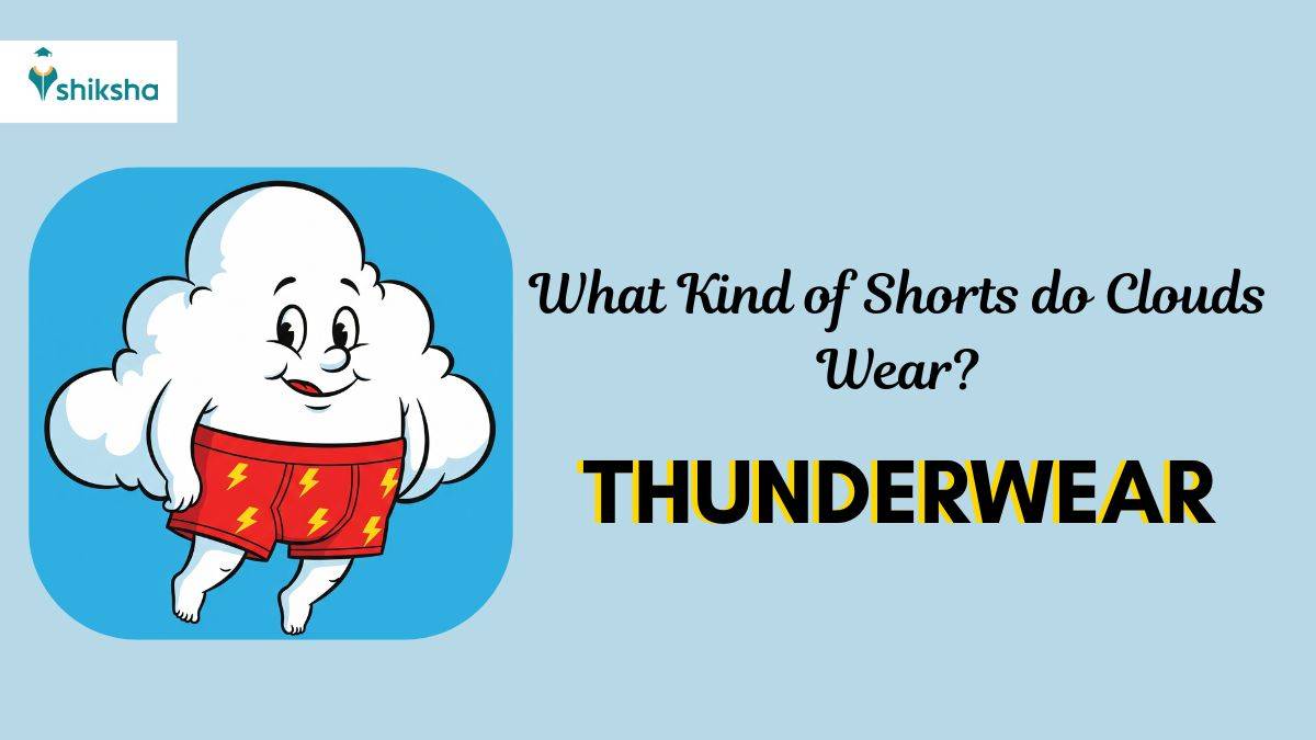 What are Puns? Meaning, Types, Examples, and Practice Exercises with ...