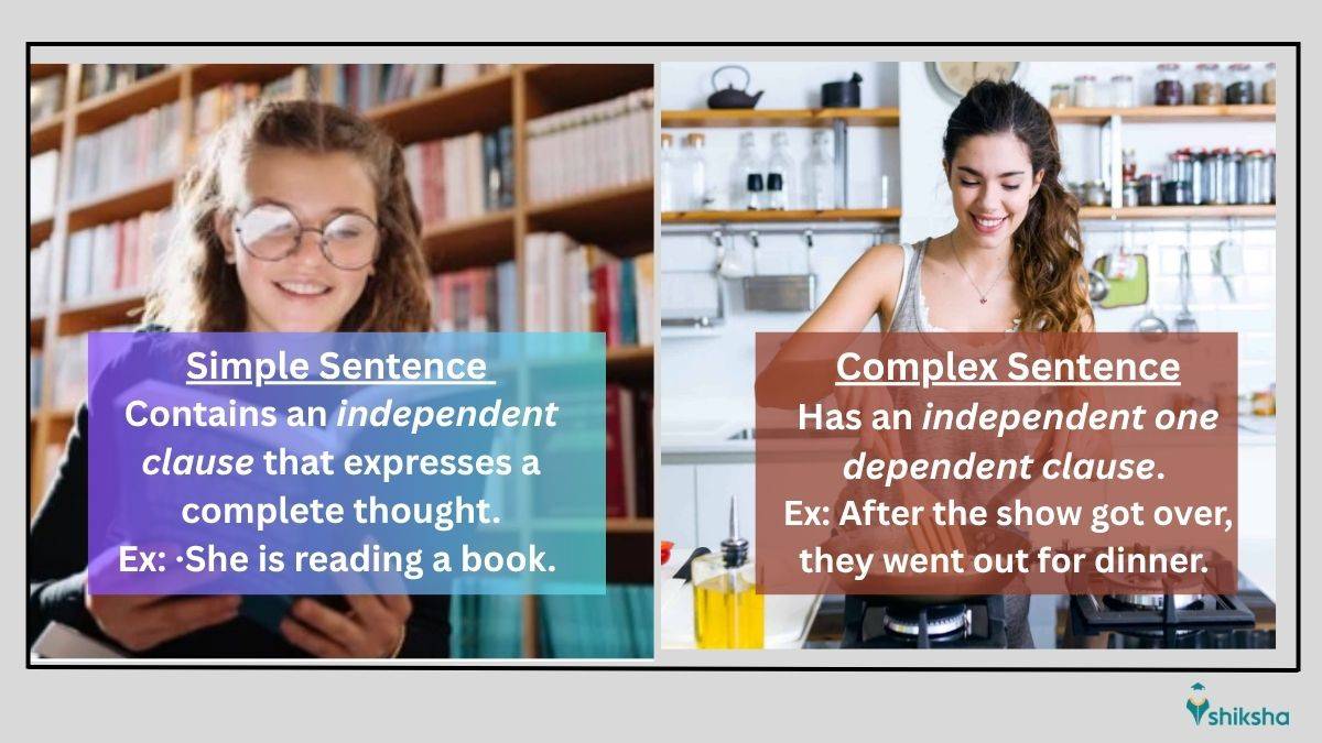 Sentences in English: Examples, Types, Rules to Use, Practice Exercises ...