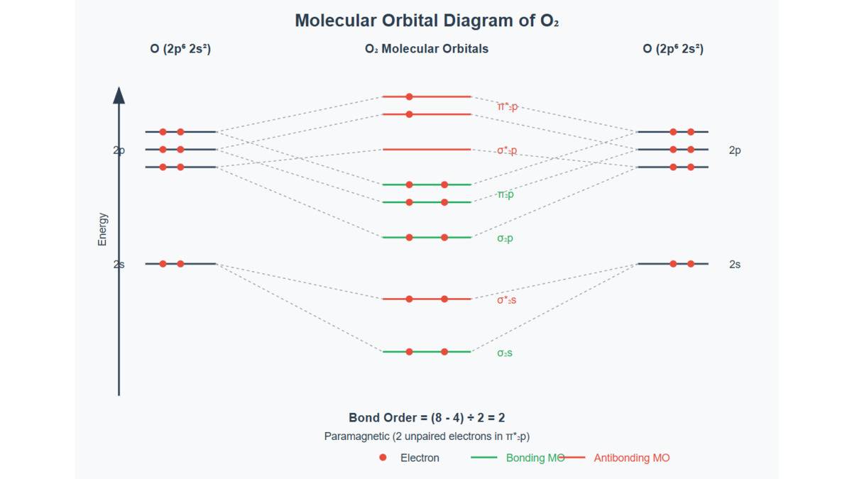 Molecular Orbital Theory