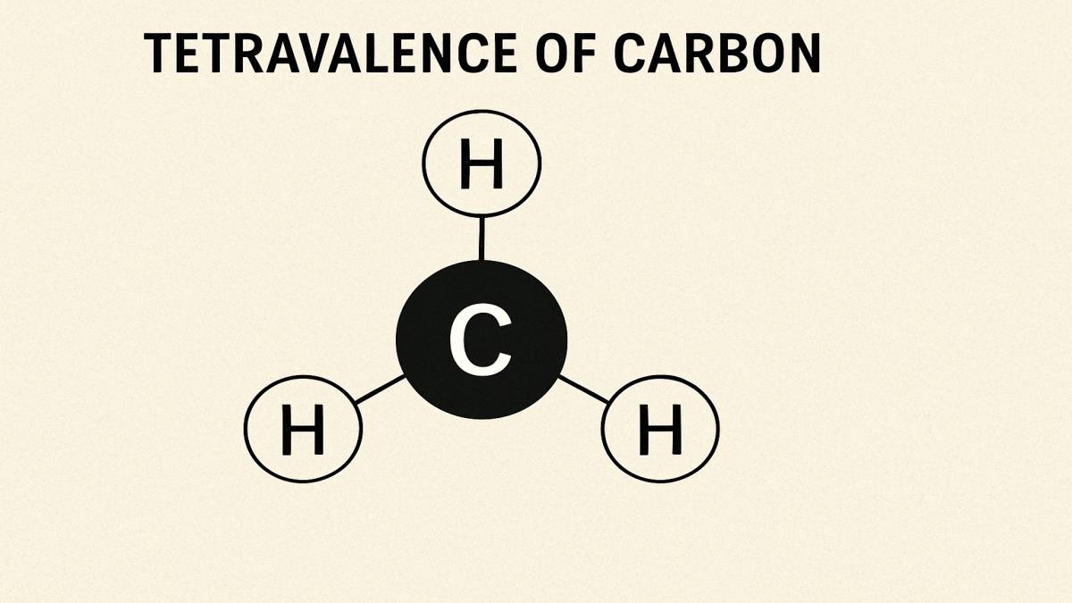 Tetravalence of Carbons Class 11 Chemistry Notes