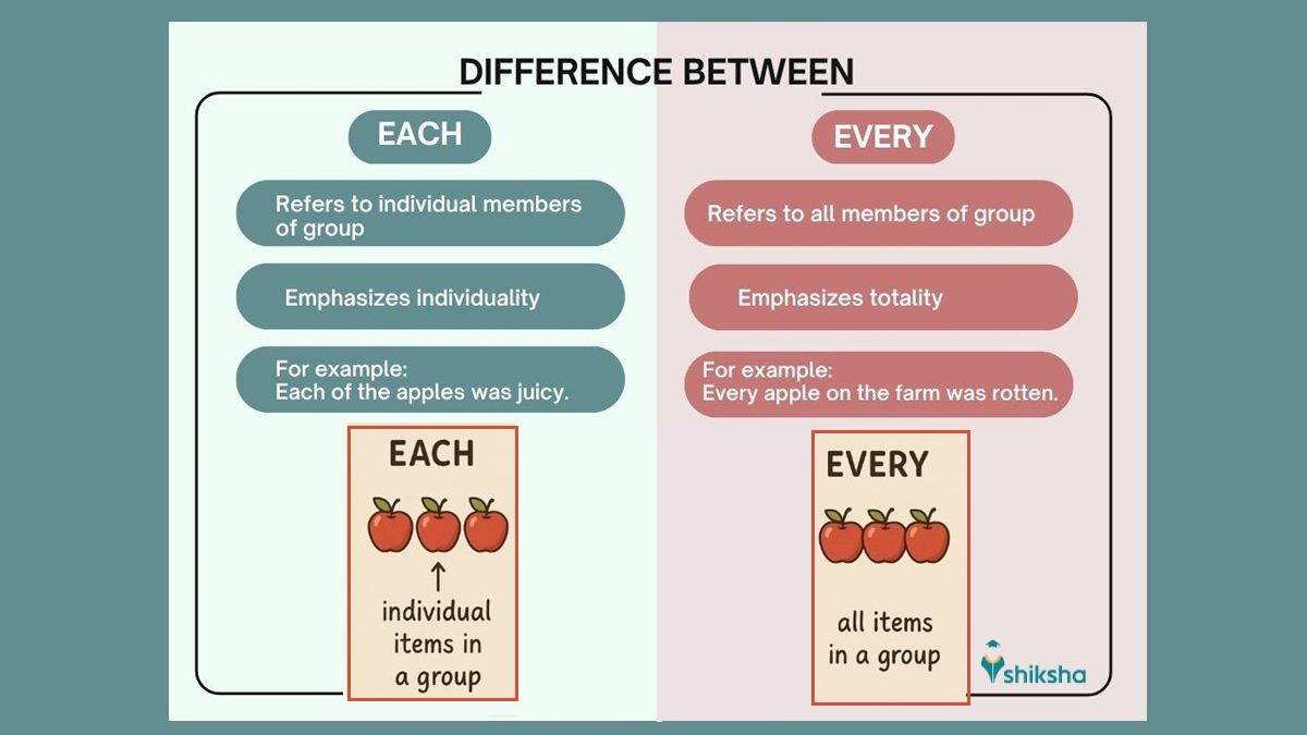 Distributive Pronouns: Meaning, Examples & Worksheet and Exercises with ...