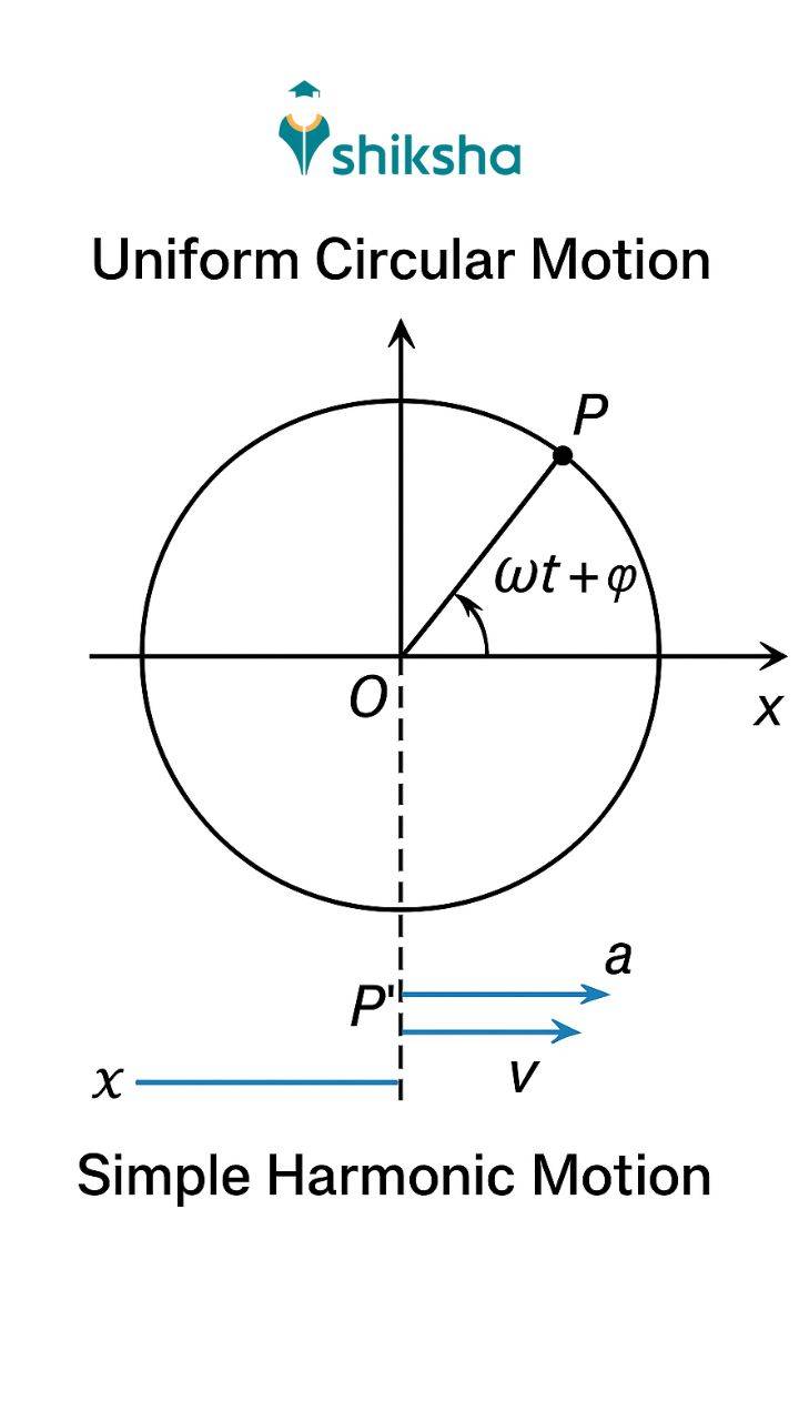 What is Oscillation? Definition, Formula, & NCERT Class 11 Notes