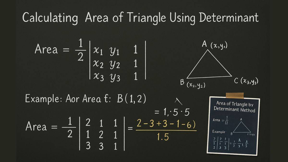 Finding Area of Triangle Using Determinant Method