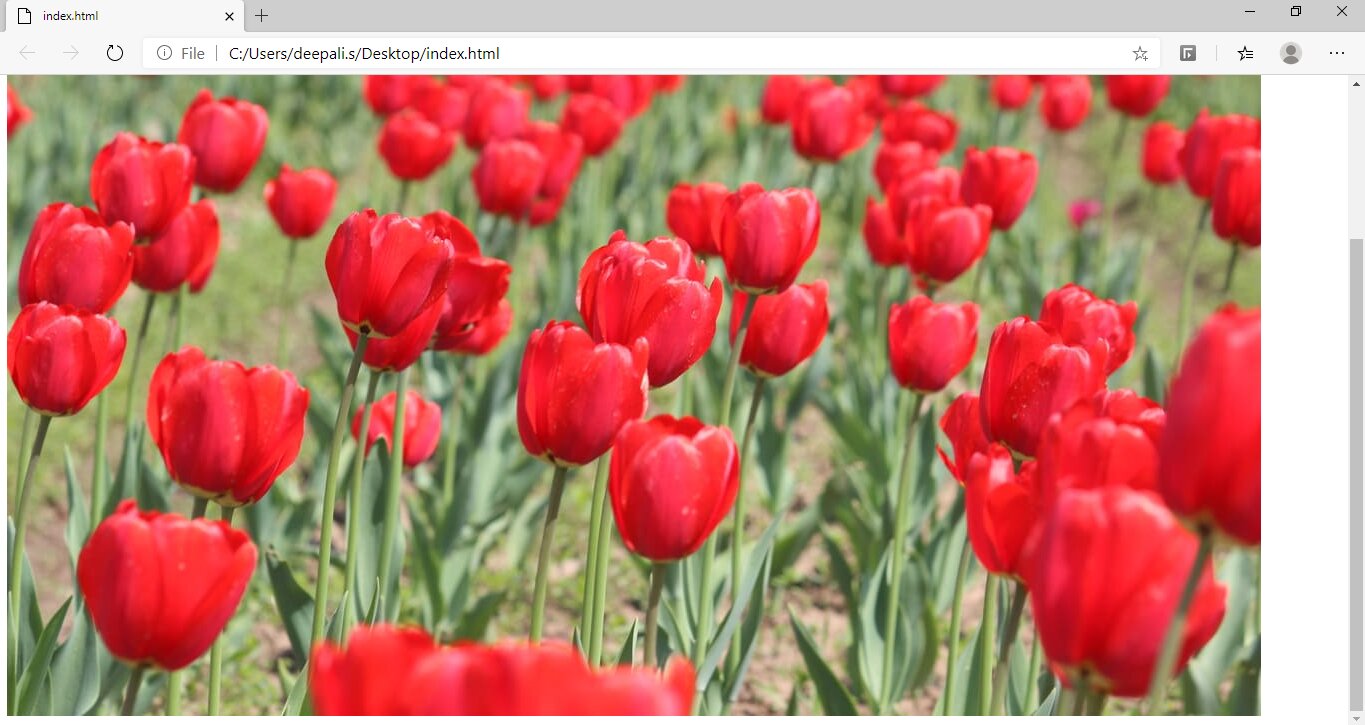 Html Attributes Explained With Examples Shiksha Online 5356