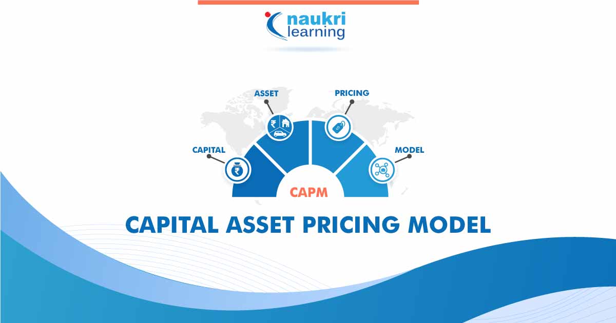 Understanding the Capital Asset Pricing Model - Shiksha Online