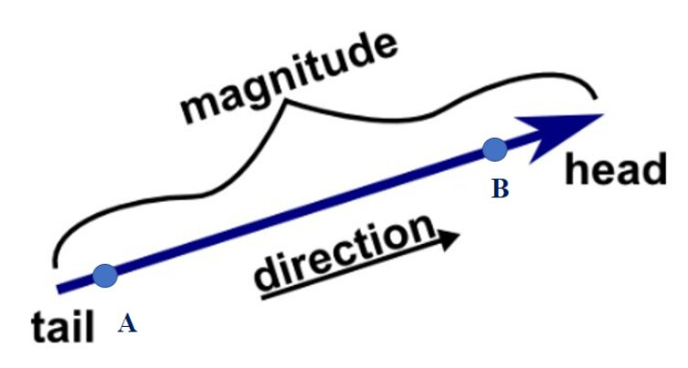 How Vectors are Used in Machine Learning - Shiksha Online