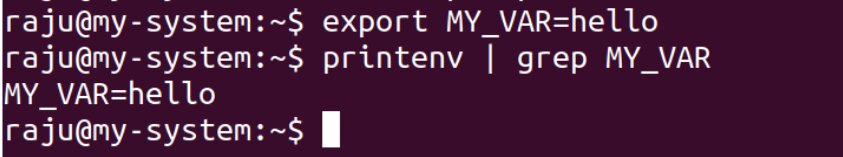 How to Set Environment Variables in Linux? - Shiksha Online
